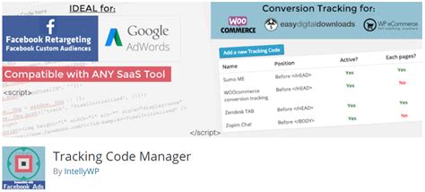 free wordpress plugin tracking code manager doteasy wordpress