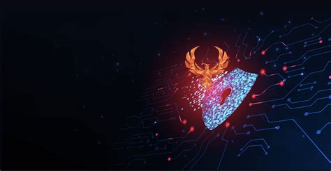 Where Hackers Look For Vulnerabilities In Networks Systems And Web Apps