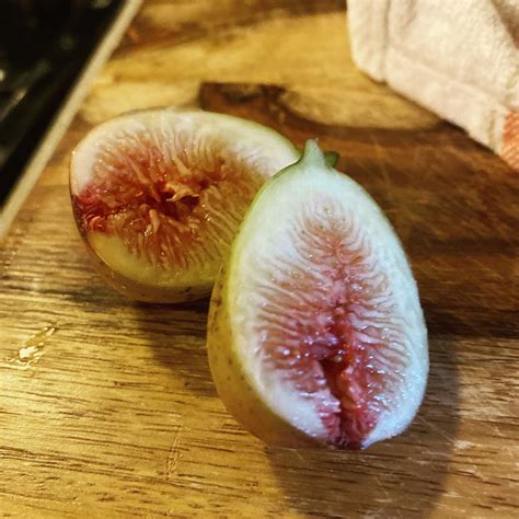 Figs Fruit Sweet Free Photo On Pixabay Pixabay