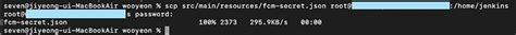 jenkins pipeline에 git ignore된 파일 올려서 build 시키기