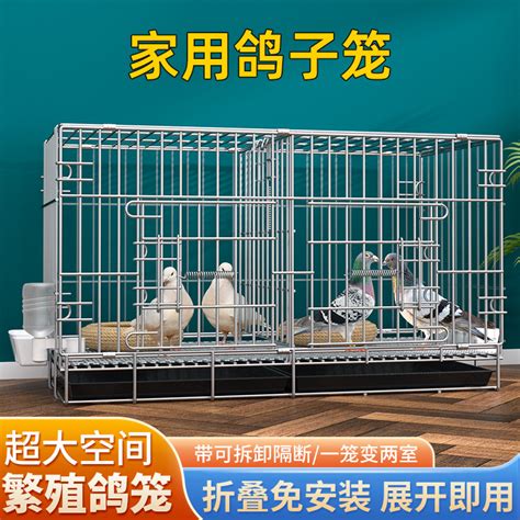 鸽子笼养殖笼家用带隔断配对繁殖笼大号肉鸽笼鸽子用品鸽舍鸽子窝虎窝淘