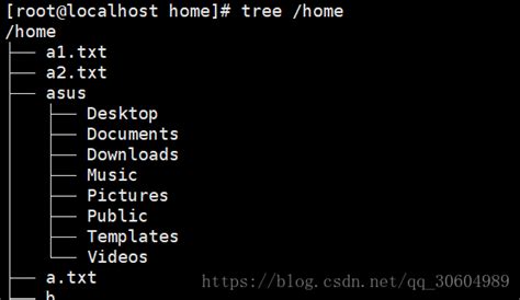 Linux磁盘分区、挂载、查看linux查看分区lbsik Csdn博客