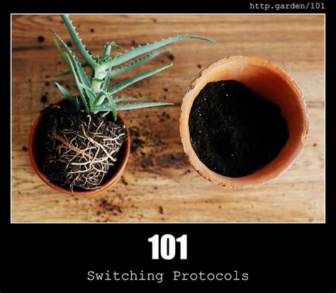 101 Switching Protocols Status Code And Gardening
