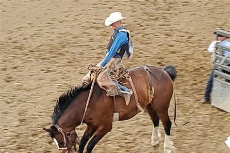 Wyoming Natives Shining At College National Finals Rodeo