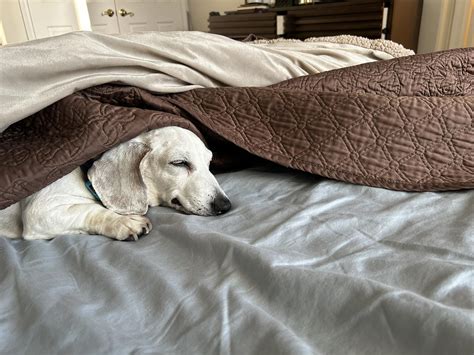 Patrick Evans Patrick Evans Updated His Cover Photo Facebook