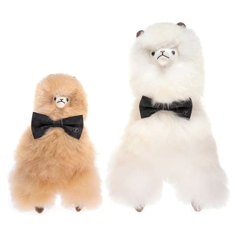 Freudenreich Interior Design | Alpaka Paco