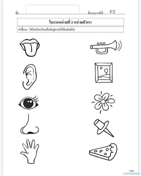 โยงเส้นจับคู่สัมพันธ์ อนุบาล3 ใบงานเชิงโต้ตอบ Topworksheets