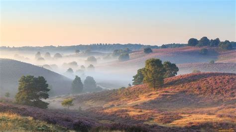 Обои Природа Пейзажи обои для рабочего стола фотографии природа пейзажи пейзаж туман утро