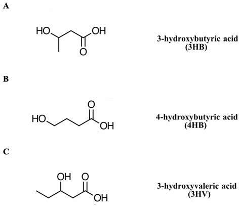 Short Chain Length Polyhydroxyalkanoates Download Scientific Diagram
