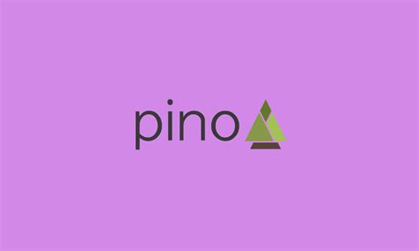 Glinteco Blog One Package Per Day Pino The Logger We Trust In Nodejs Projects