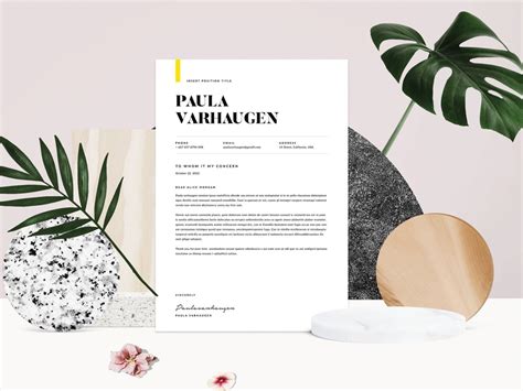 25 Cover Letter Examples Canva