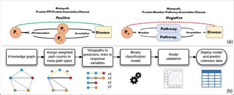 A A Metapath Illustration B Analytical Algorithms Workflow For Download Scientific Diagram
