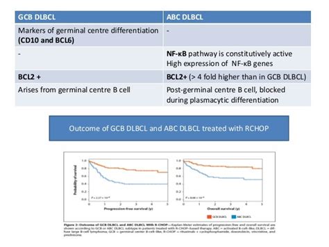 Abc Gcb And Doule Hit Diffuse Large B
