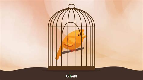 5 Tips To Break Free From Societal Expectations