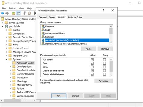 Domain Persistence Adminsdholder