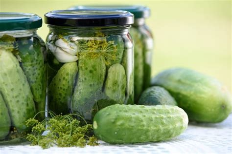The Science Of Pickling