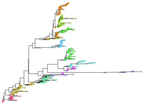 Rhierbaps An R Implementation Of The Population Clustering Algorithm Hierbaps Pmc