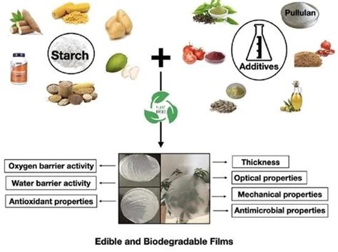What Is Edible Food Packaging Consumers Latest Favorite