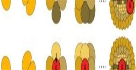 Why Do We Have Sex Cells BioTechniques