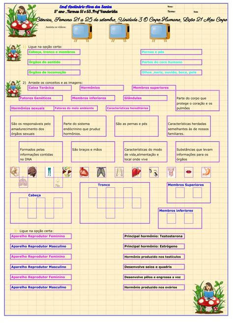 Corpo Humano Activity Live Worksheets