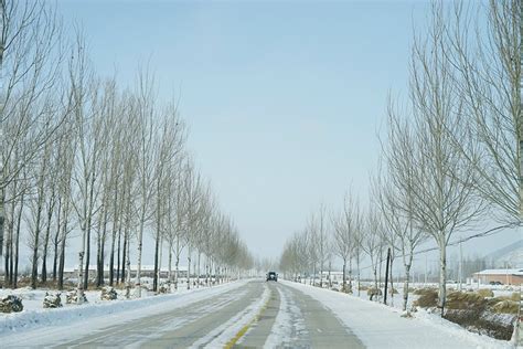 2024哈尔滨游玩攻略 哈尔滨交通 住宿 行程 美食 购物攻略 哈尔滨注意事项 实用信息【去哪儿攻略】