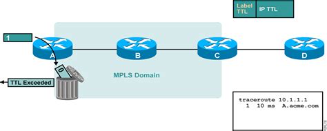 Network Note Mpls Loop Detection