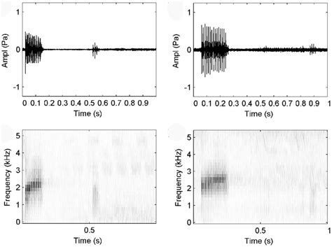 Oscillogram Top Spectrogram Bottom Of Call Of Polypedates