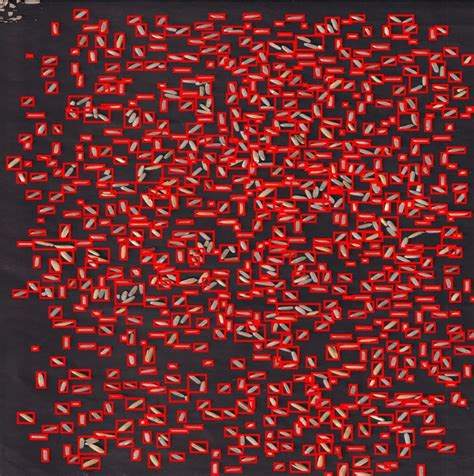 Next Software Rice Detection With Matlab