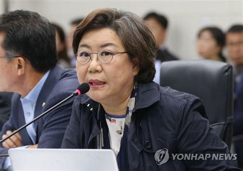 국감 질의하는 이혜훈 의원 연합뉴스