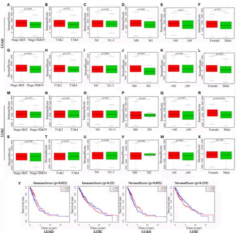 Associations Of Immune And Stromal Scores With Clinical Characteristics