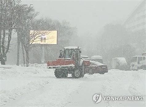 강원 북부산지에 대설경보태백 등 9곳 대설주의보 파이낸셜뉴스