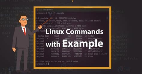 Shahaji Kadam On Linkedin Basic Linux Commands With Examples Post 04