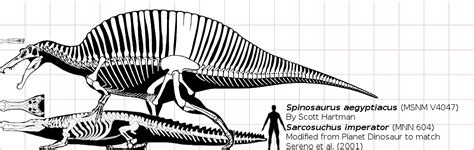 Spinosaurus Vs Sarcosuchus