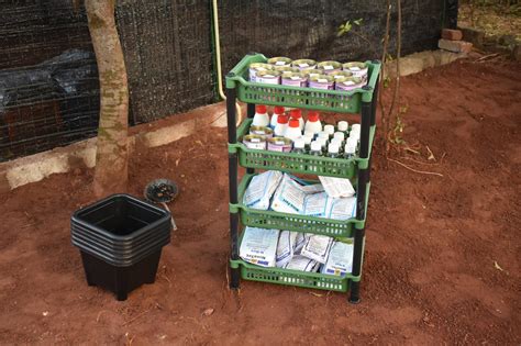 Senaya Orchids සෙනායා ඕකිඩ් මල් අලෙවිසැල