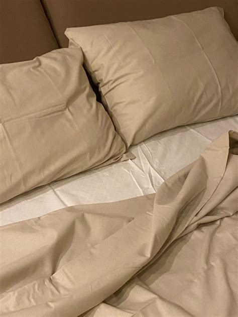 Dreamy Beige Bed Linens Lenzuola Stanza Da Letto