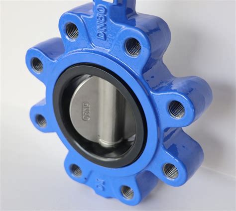 China Lug Type Manufacturers Suppliers Factory Customized Lug Type