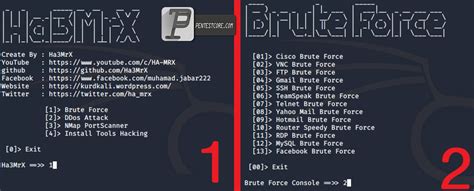 کرک Vnc از طریق حملات بروت فورس با Ha3mrx پن تست کور