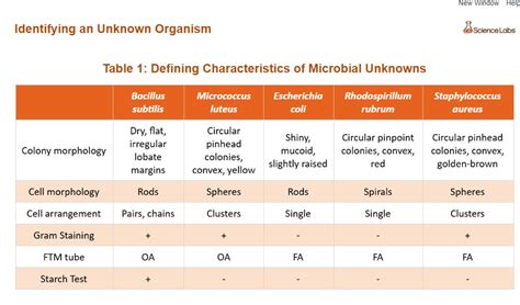 New Window Help Identifying An Unknown Organism Sclencelabs Table 1 Defining Characteristics Of