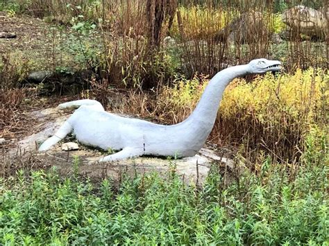 Plesiosaurus Facts The Intriguing Mystery Of It Only Dinosaurs