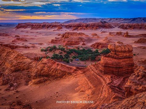 Өмнө Өмнөговь аймаг Монополын эсрэг газрын Улсын байцаагч