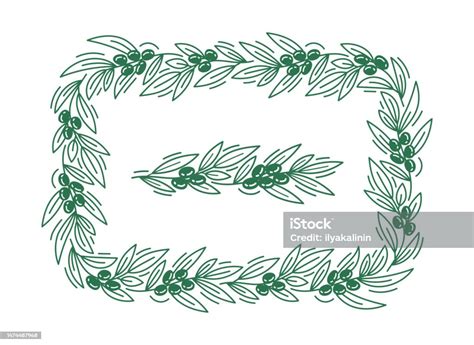 올리브 가지 직사각형 프레임 꽃 장식입니다 선 패턴 배경입니다 편집 가능한 윤곽선 획 벡터 선입니다 0명에 대한 스톡 벡터 아트