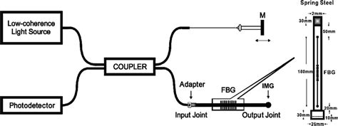 Schematic Illustration Of Optical Low Coherence Reflectometry