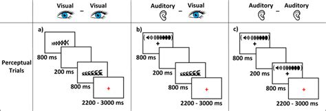 Perceptual Trials Stimuli And Timing Illustration Of The Stimuli And Download Scientific