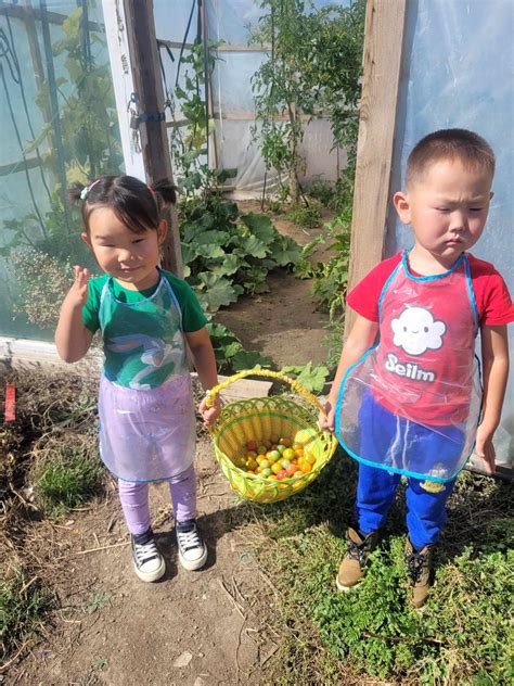 ХҮҮХДҮҮДИЙГ БАГА НАСНААС НЬ ХҮНСНИЙ НОГОО ТАРИХ ХУРААХ АЖИЛД СУРГАЖ БАЙНА