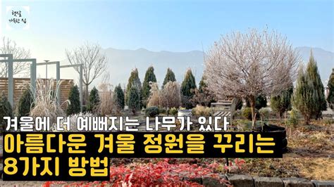 아름다운 겨울 정원을 꾸리는 8가지 방법 겨울에 더 예쁜 나무 소개정원 가꾸기 Youtube