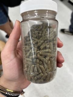 ANSC 318 Lab Quiz 1 Flashcards Quizlet