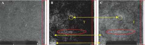 A Nir In Reflection Mode B Image Subtraction Between A And C Download Scientific