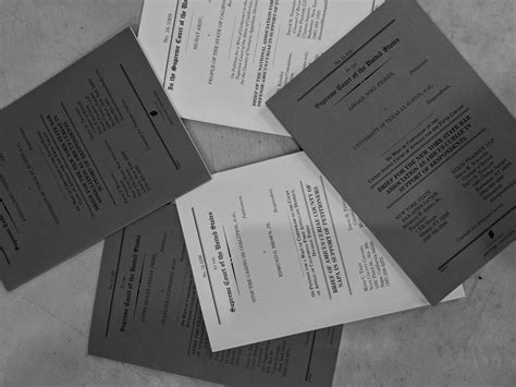 Sample Appellate Briefs Appellate Brief Examples David Tennant