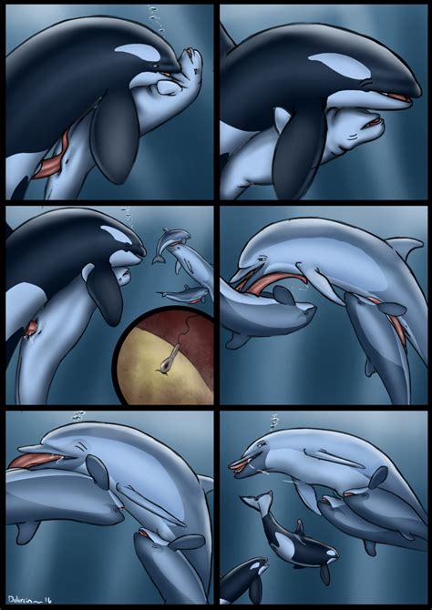 Rule 34 2016 Anal Animal Genitalia Animal Penis Artist Name Beluga