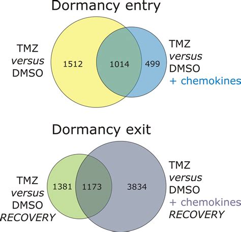 Microarray Based Transcriptome Analysis Of The Influence Of Chemokines Download Scientific
